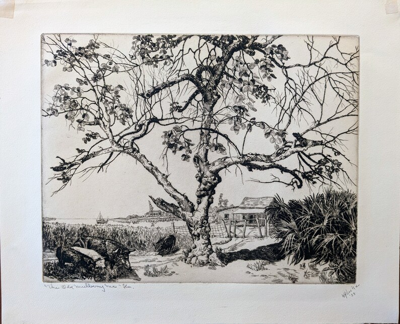 Walter Ronald Locke Etching "the Old Mulberry Tree" 1938, Signed - Etsy
