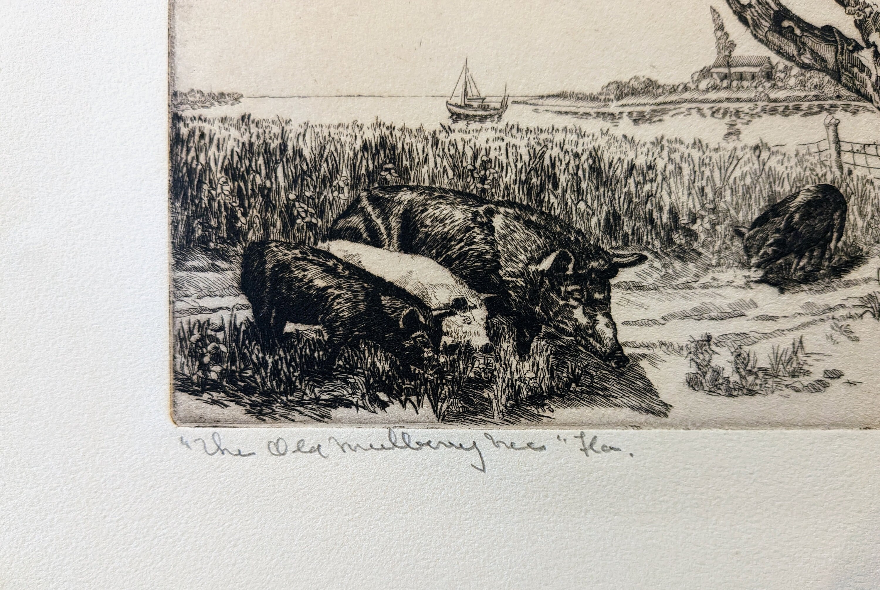 Walter Ronald Locke Etching "the Old Mulberry Tree" 1938, Signed - Etsy