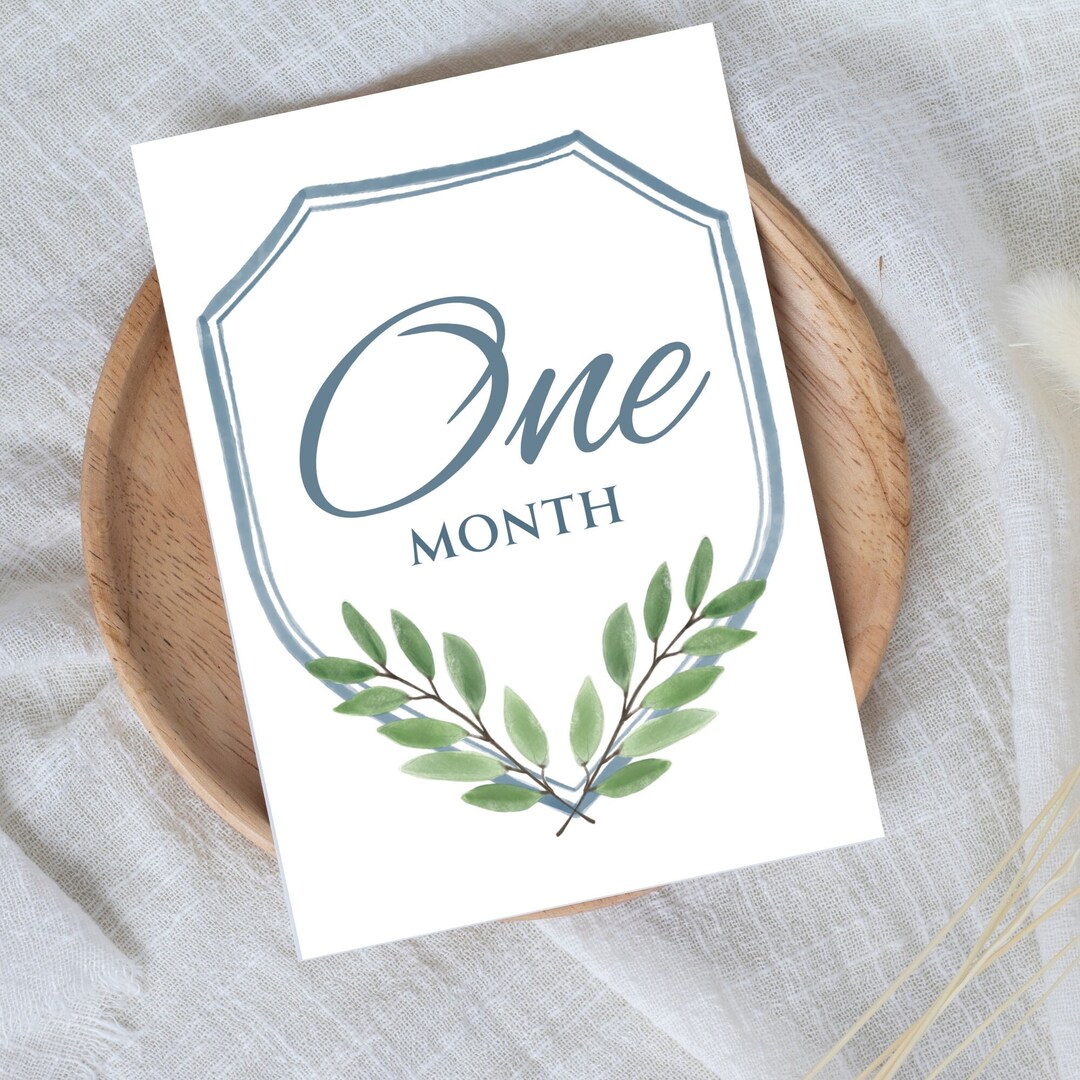 Baby Milestone Cards Boy Milestone Marker Baby Monthly Milestone New ...