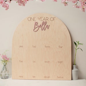 My First Year One Year of Photo Board Wooden Milestone Board 1st ...