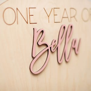 My First Year One Year of Photo Board Wooden Milestone Board 1st ...