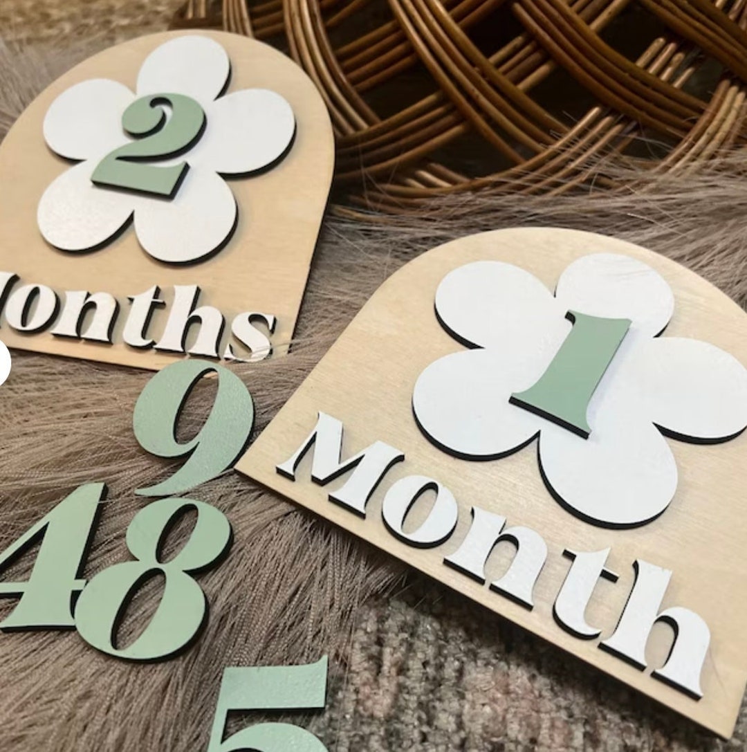 Wooden Monthly Milestone Baby Disc Baby Milestone Cards - Etsy