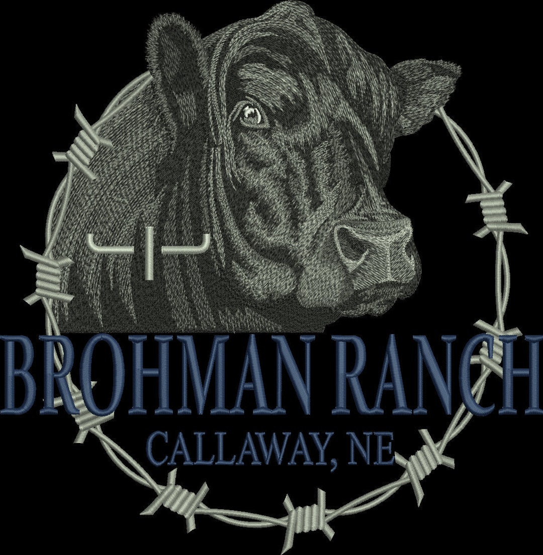 Angus Bull Embroidery File - Etsy