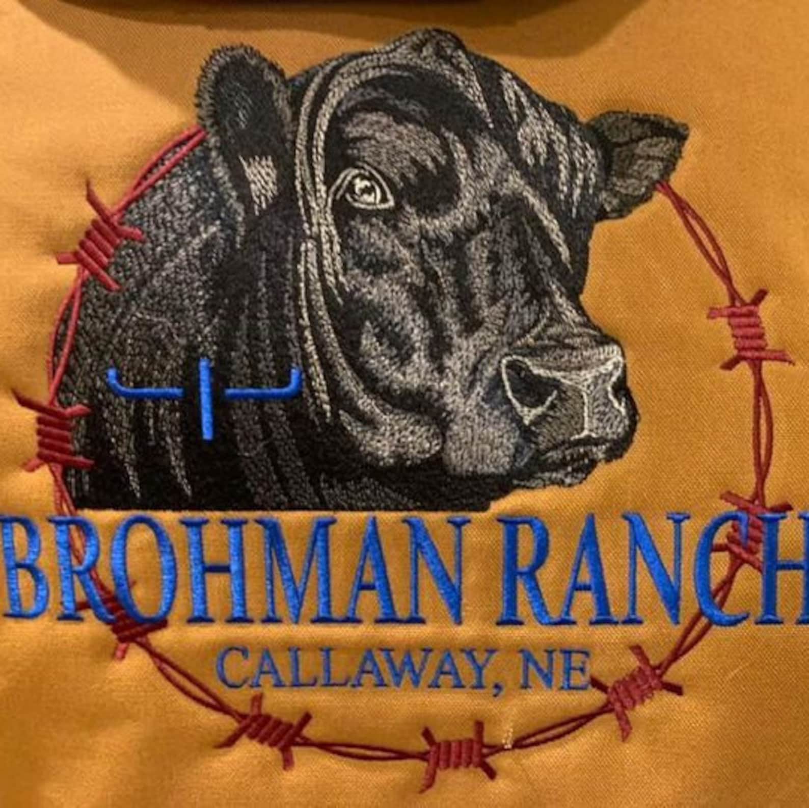 Angus Bull Embroidery File - Etsy