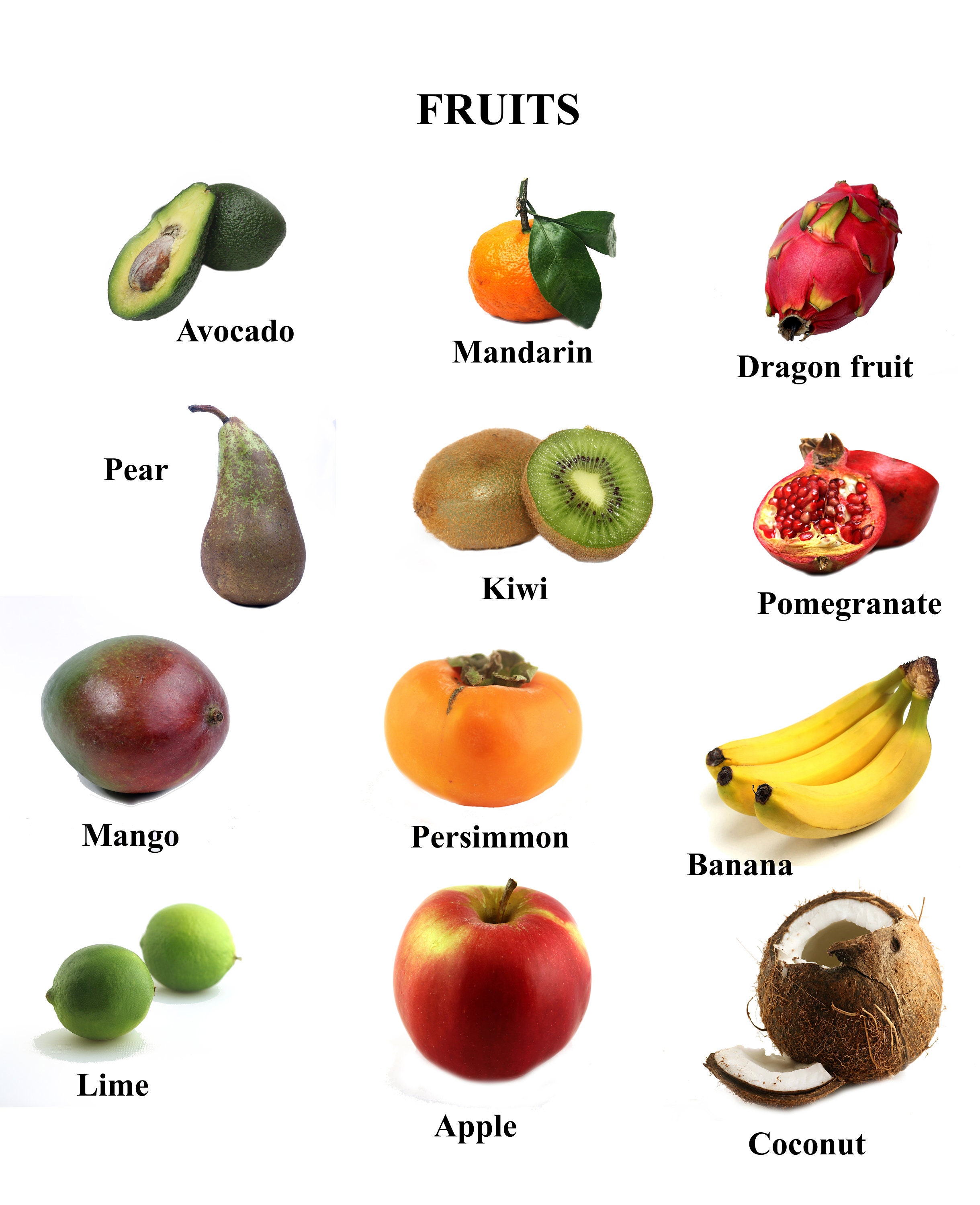 Affiche éducative fruits de différentes sortes isolés sur | Etsy