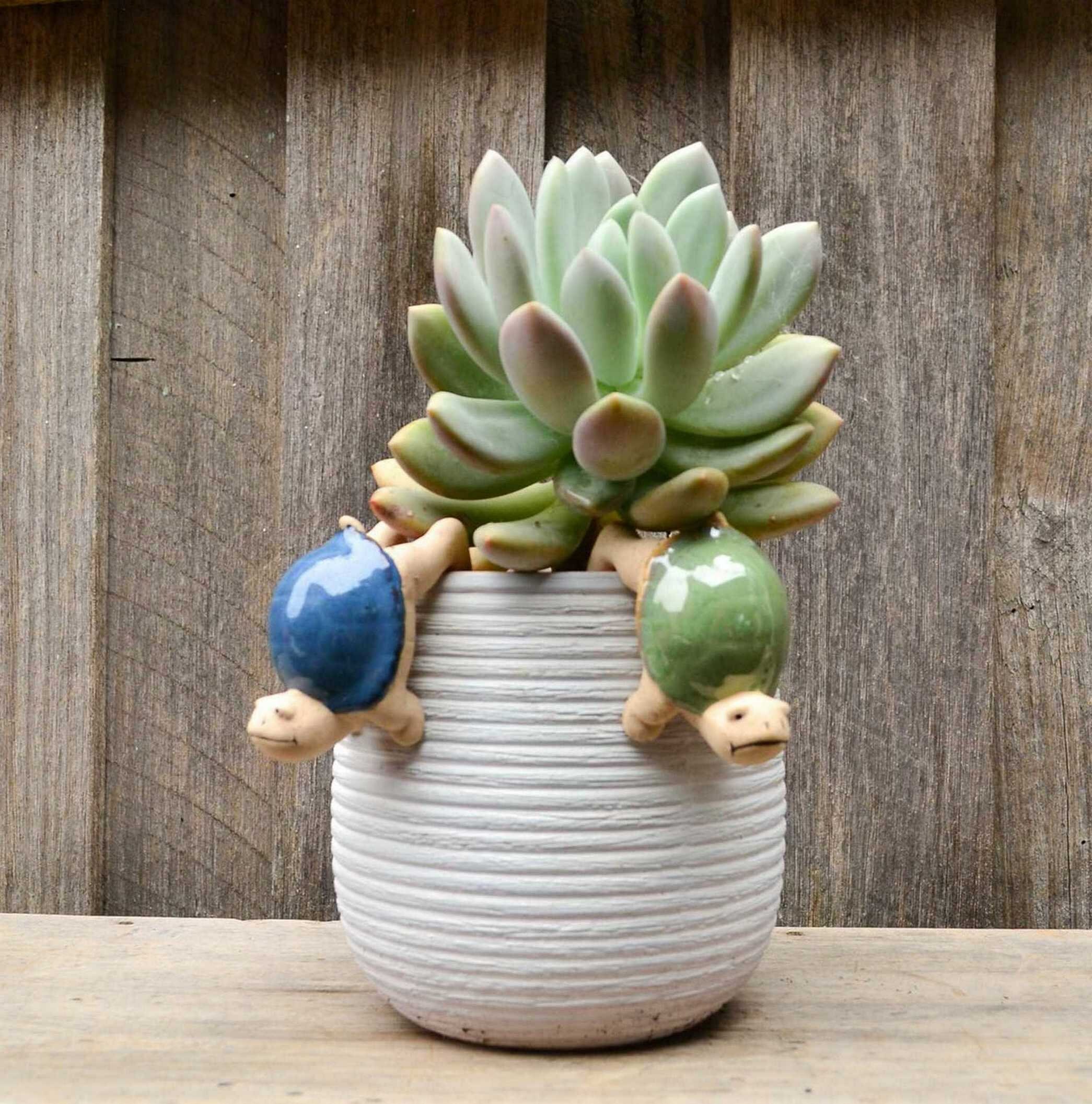 Lovely Turtle Ceramic Pot Planter - Etsy