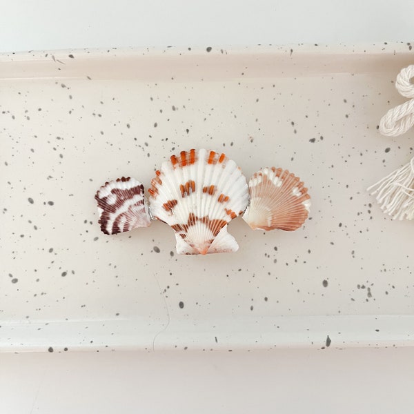 Sea Shell Hair Clips - Etsy