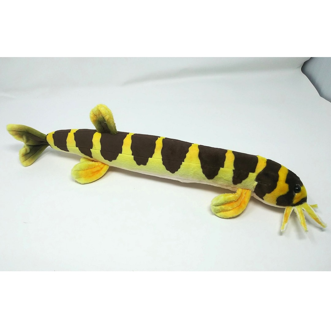One Plush Kuhli Loach Animal Fish - Etsy