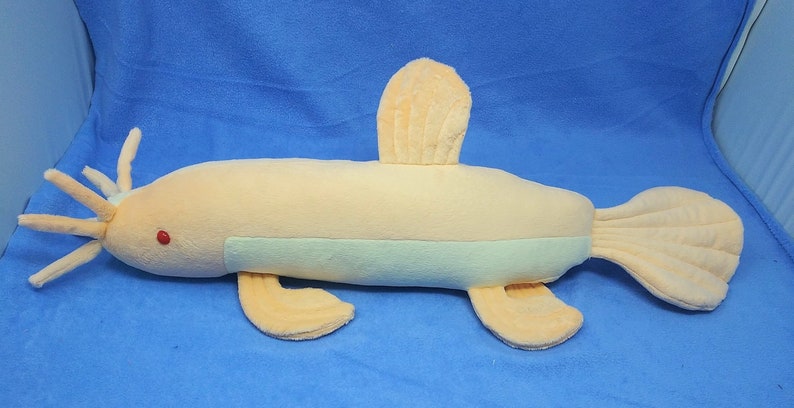 Plush Medium Albino Dojo Loach Wild Weather Loach Plush Fish - Etsy