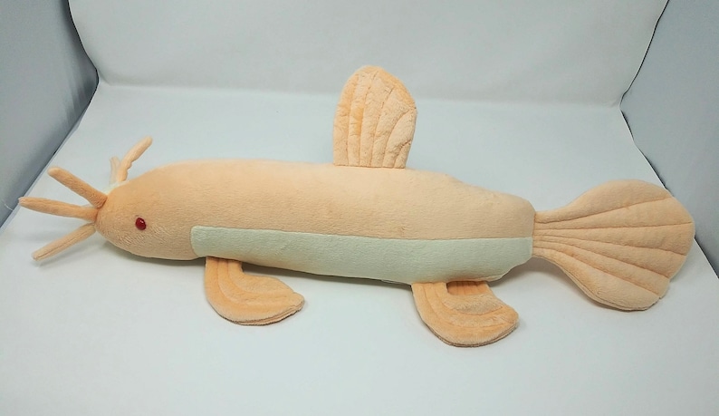 Plush Medium Albino Dojo Loach Wild Weather Loach Plush Fish - Etsy