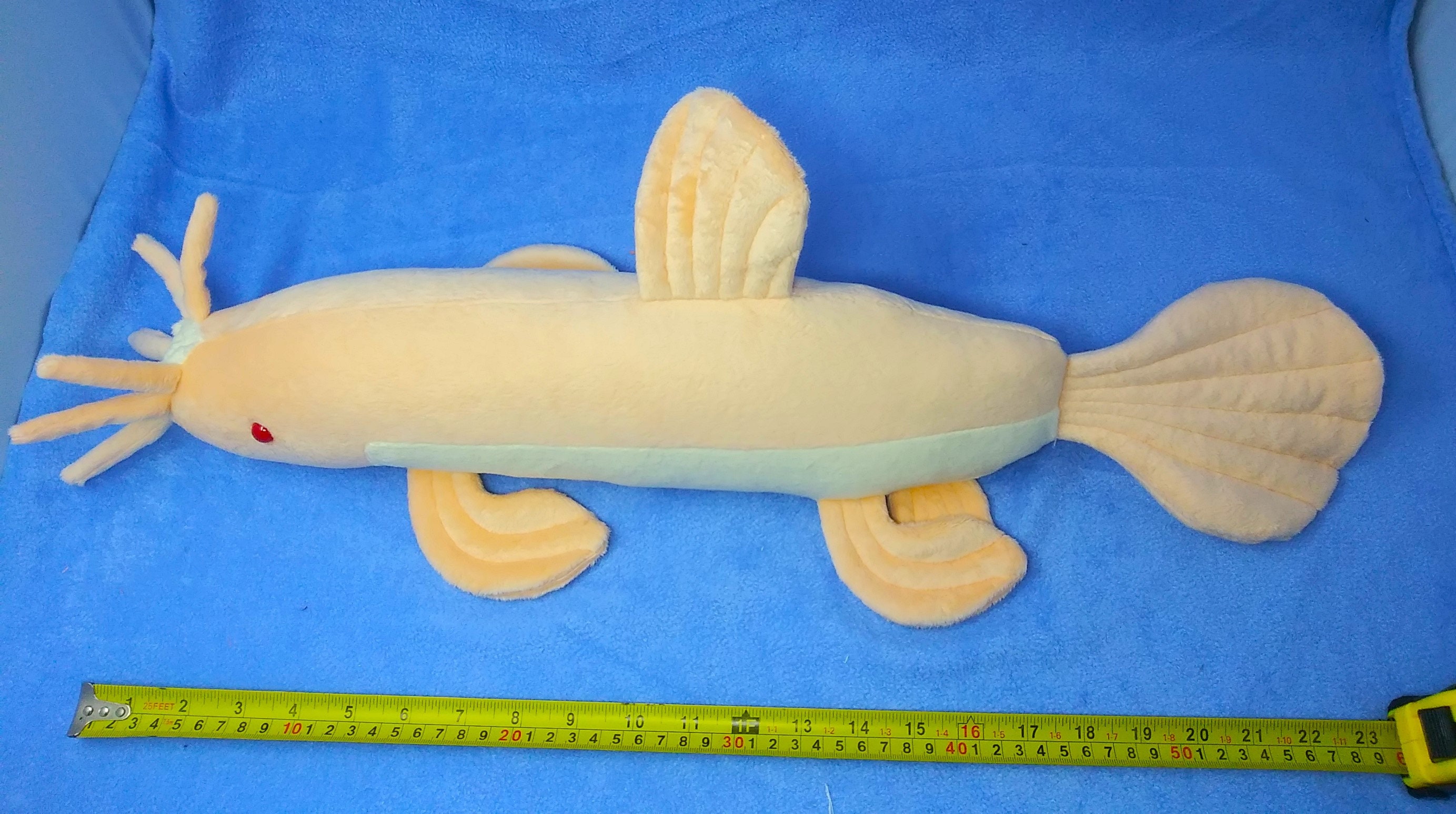 Plush Medium Albino Dojo Loach Wild Weather Loach Plush Fish - Etsy