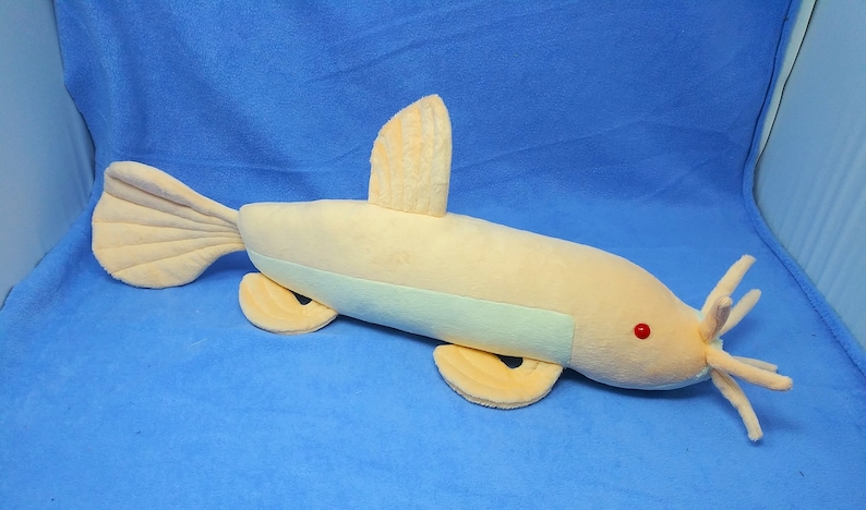 Plush Medium Albino Dojo Loach Wild Weather Loach Plush Fish - Etsy