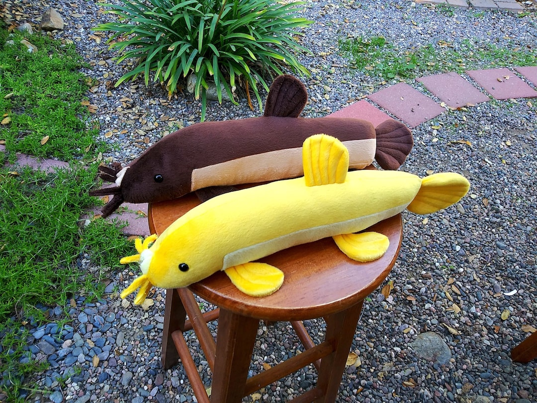 Two Loaches: One Brown Wild Loach and One Golden Loach Plush Fish ...