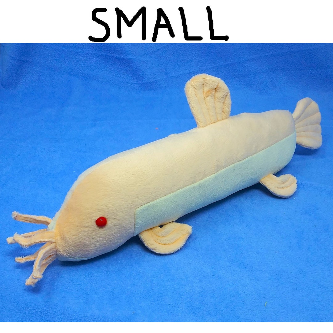 Plush Small Albino Dojo Loach Wild Weather Loach Plush Fish - Etsy
