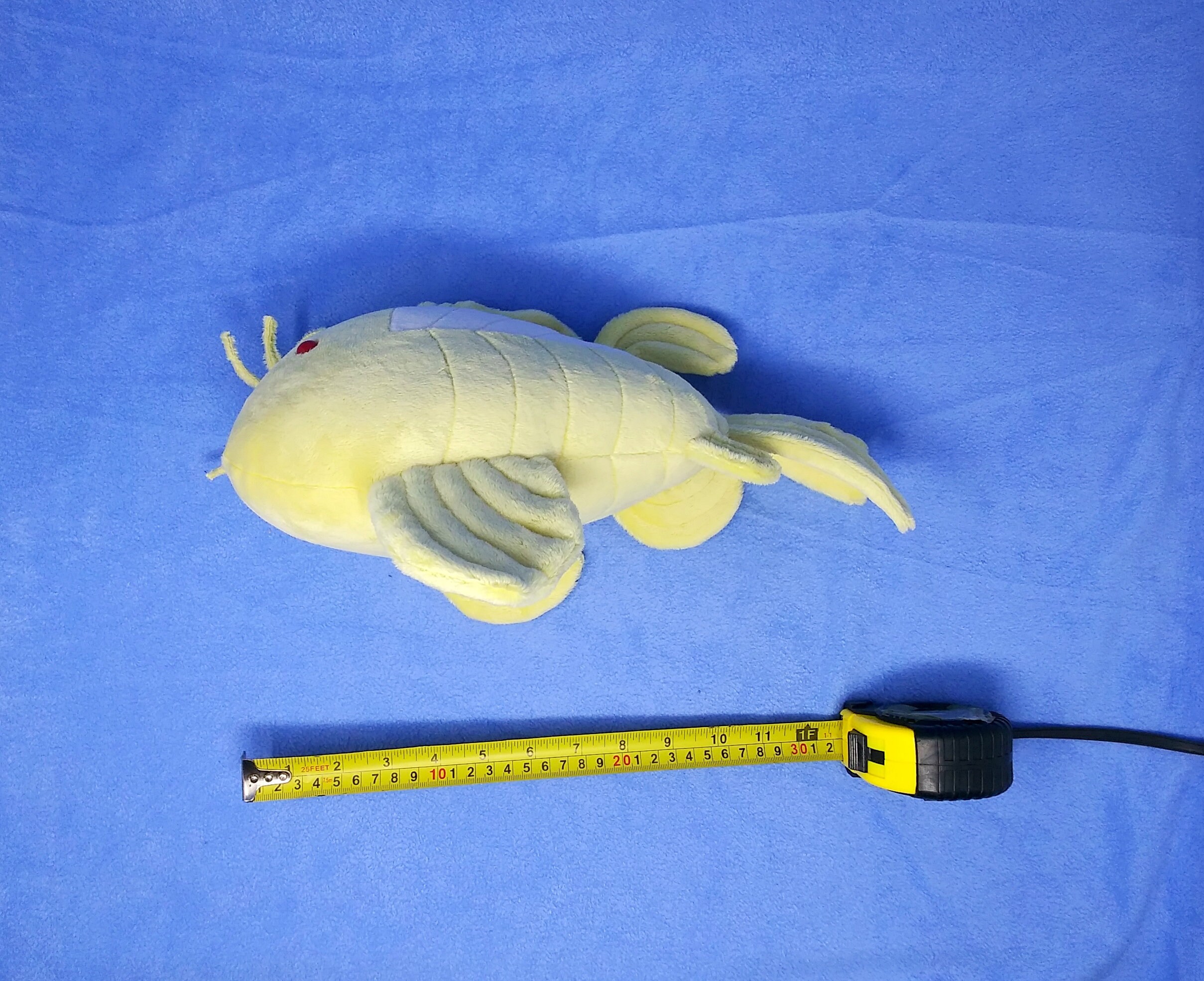Small Plush Red Eye Corydora Catfish Plush Fish Plush Animal - Etsy