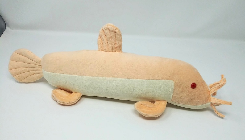 Plush Small Albino Dojo Loach Wild Weather Loach Plush Fish - Etsy