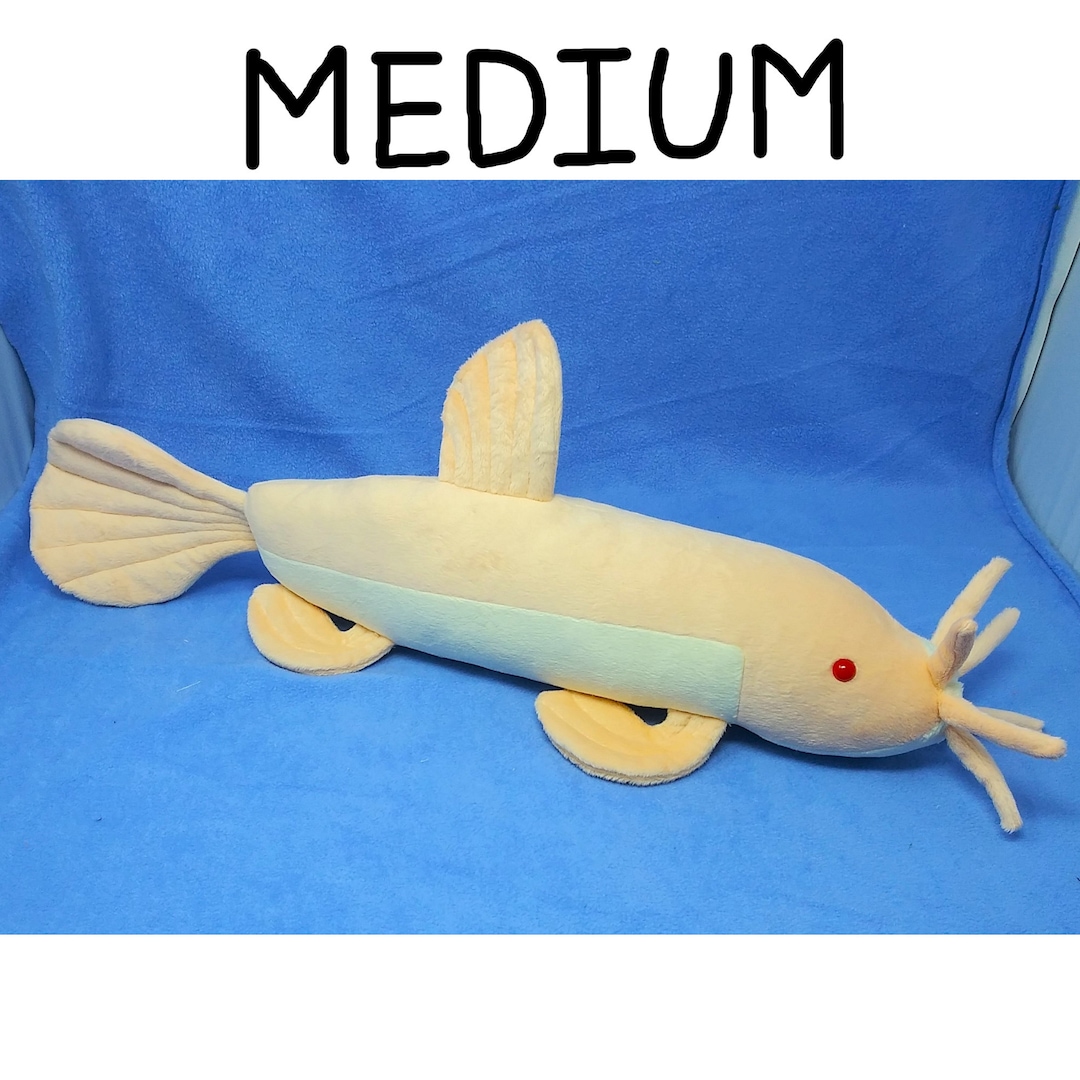 Plush Medium Albino Dojo Loach Wild Weather Loach Plush Fish - Etsy