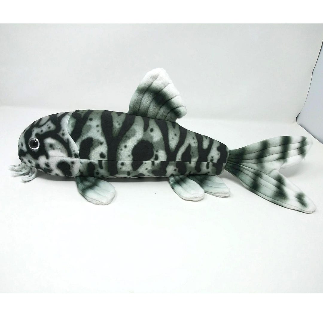 Plush Yoyo Loach Plush Animal Fish - Etsy