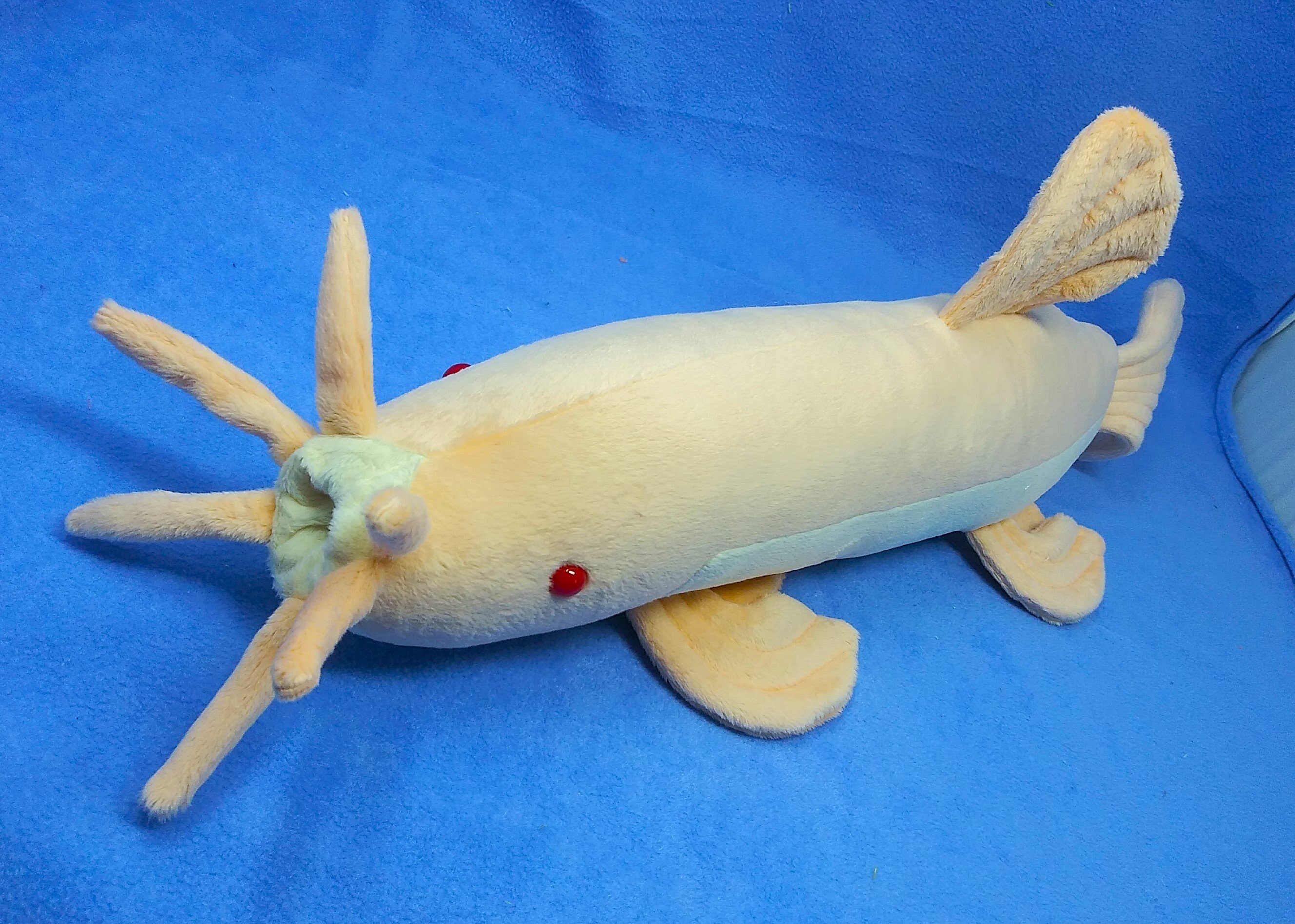 Plush Medium Albino Dojo Loach Wild Weather Loach Plush Fish - Etsy