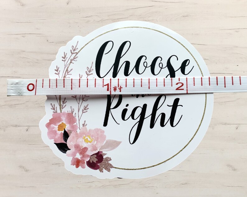 Choose the Right Sticker - Pack of 5 Stickers - CTR - LDS - Waterproof ...
