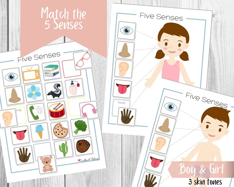 Body Bundle - Anatomy Printable - Learn Body Parts - My Skeleton - My ...