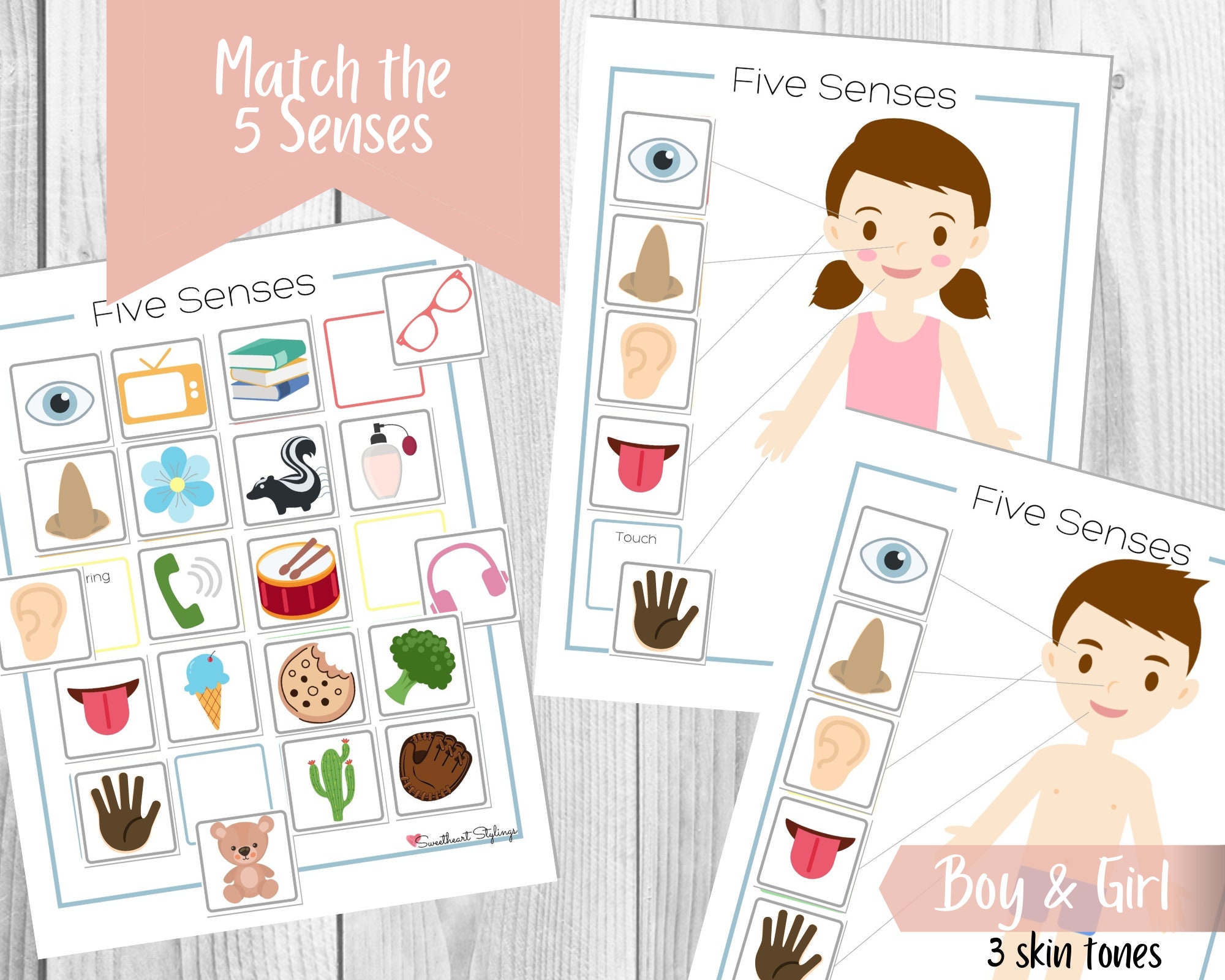 Body Bundle Anatomy Printable Learn Body Parts My Skeleton My Organs 5 ...