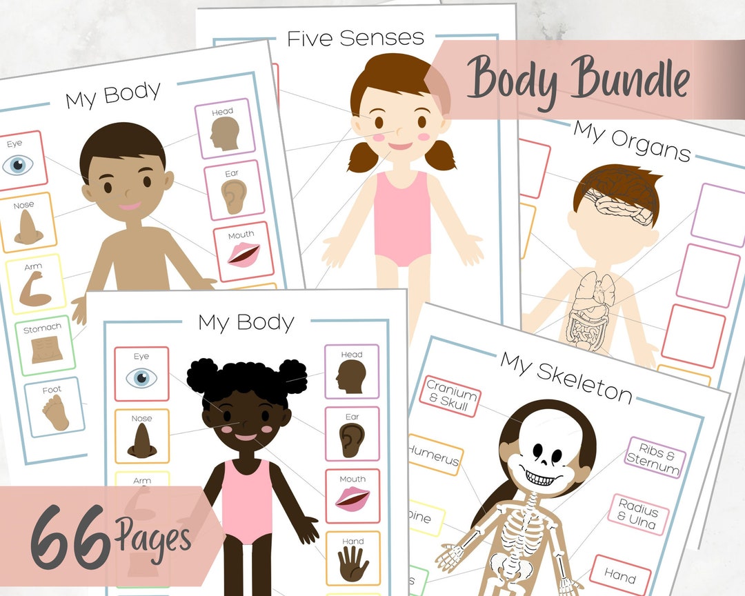 Body Bundle - Anatomy Printable - Learn Body Parts - My Skeleton - My ...