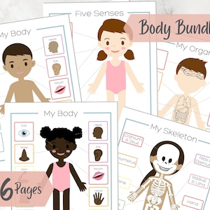 Body Bundle - Anatomy Printable - Learn Body Parts - My Skeleton - My ...