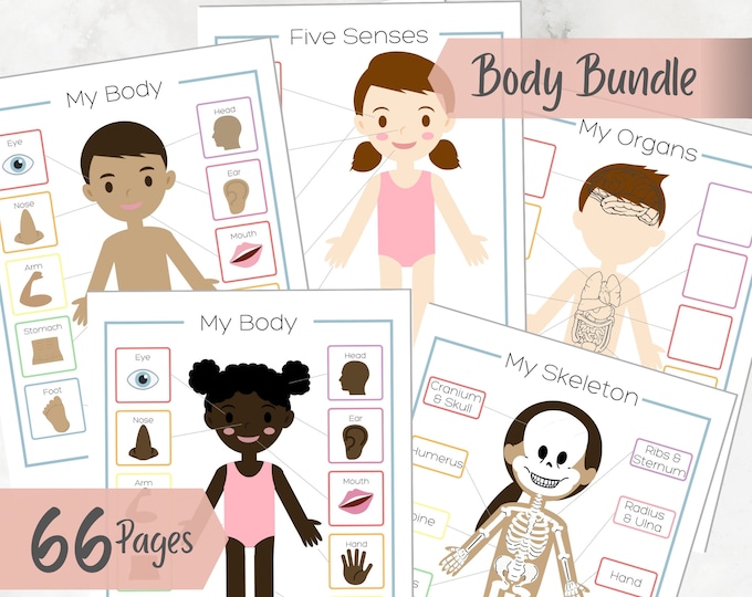 Body Bundle - Anatomy Printable - Learn Body Parts - My Skeleton - My ...