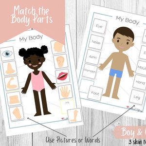 Body Bundle - Anatomy Printable - Learn Body Parts - My Skeleton - My ...