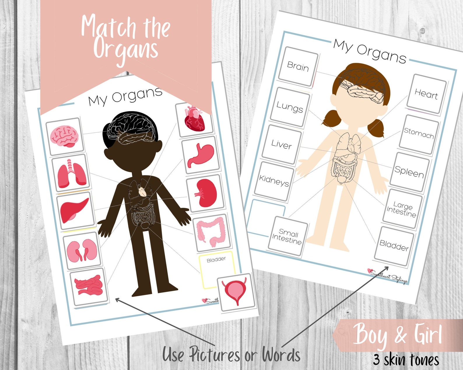 Body Bundle Anatomy Printable Learn Body Parts My Skeleton My Organs 5 ...