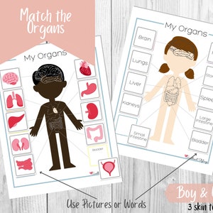 Body Bundle - Anatomy Printable - Learn Body Parts - My Skeleton - My ...