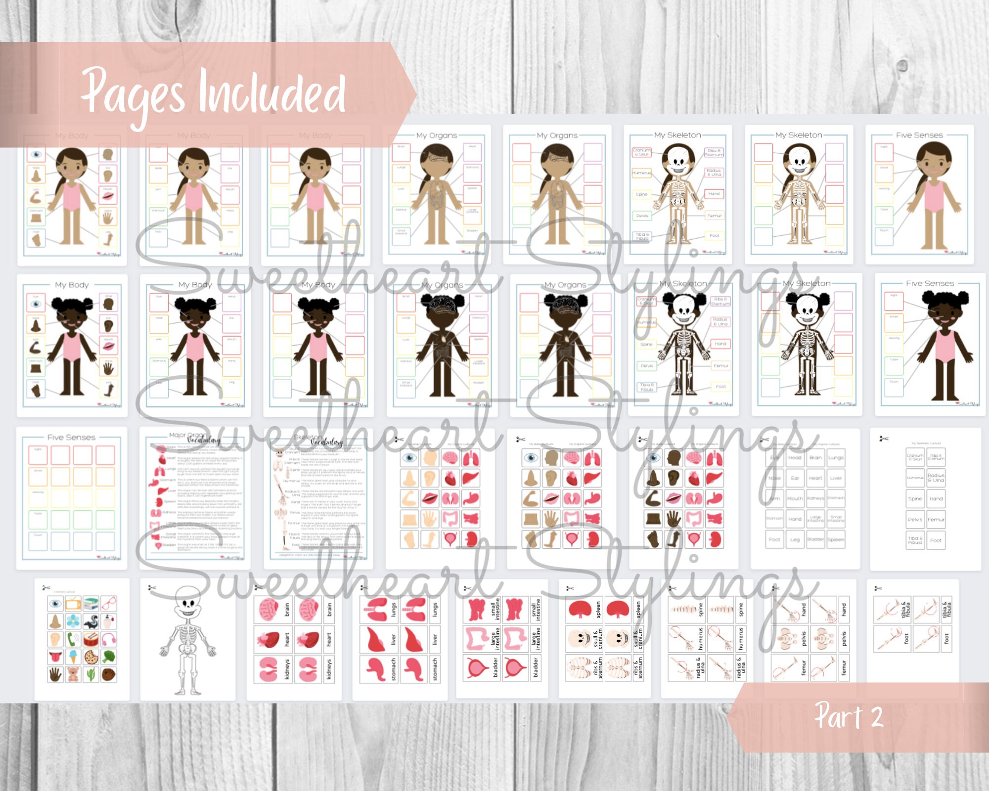 Body Bundle Anatomy Printable Learn Body Parts My Skeleton My Organs 5 ...