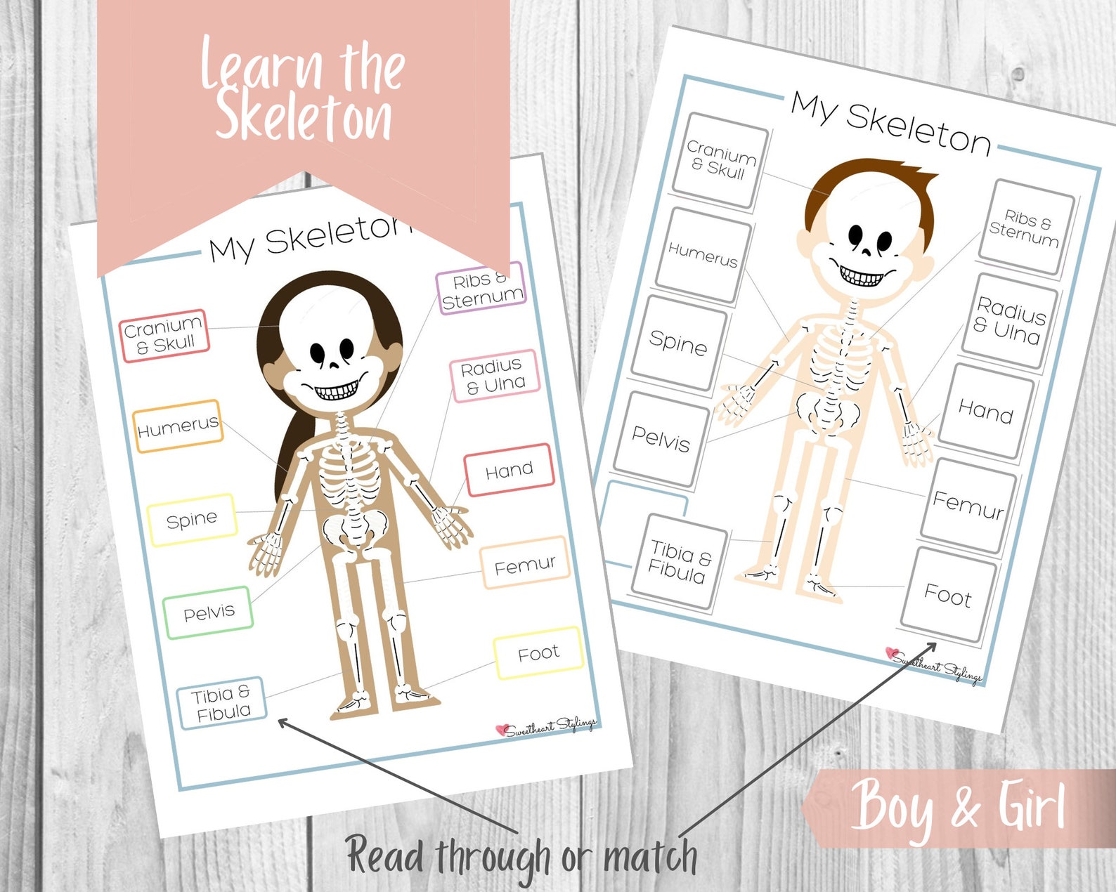 Body Bundle Anatomy Printable Learn Body Parts My Skeleton My Organs 5 ...