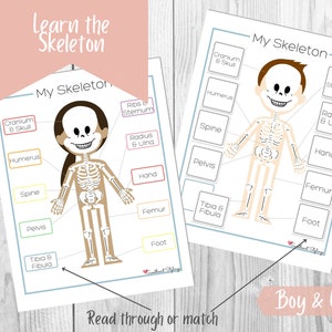 Body Bundle - Anatomy Printable - Learn Body Parts - My Skeleton - My ...