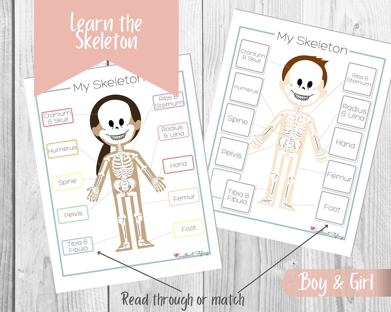 Body Bundle - Anatomy Printable - Learn Body Parts - My Skeleton - My ...