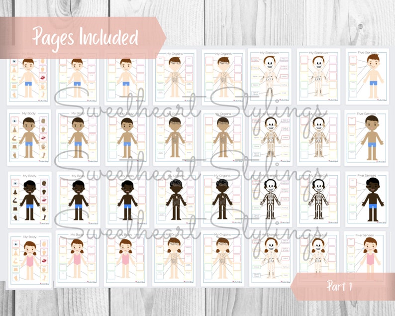 Body Bundle Anatomy Printable Learn Body Parts My Skeleton My Organs 5 ...