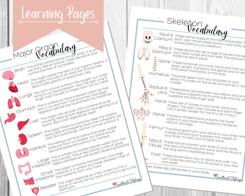 Body Bundle - Anatomy Printable - Learn Body Parts - My Skeleton - My ...