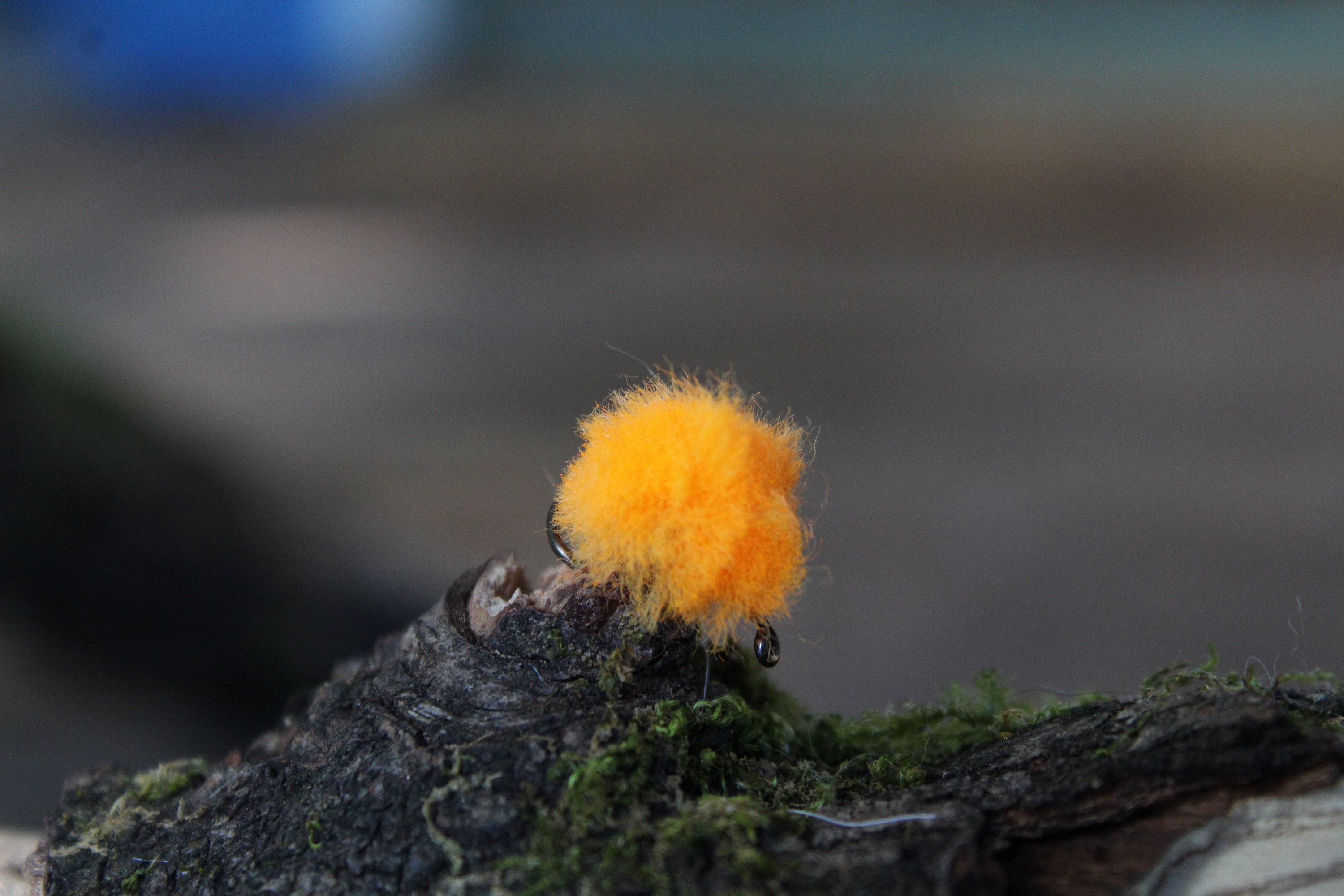 Glow Bug fly fishing flies | Etsy