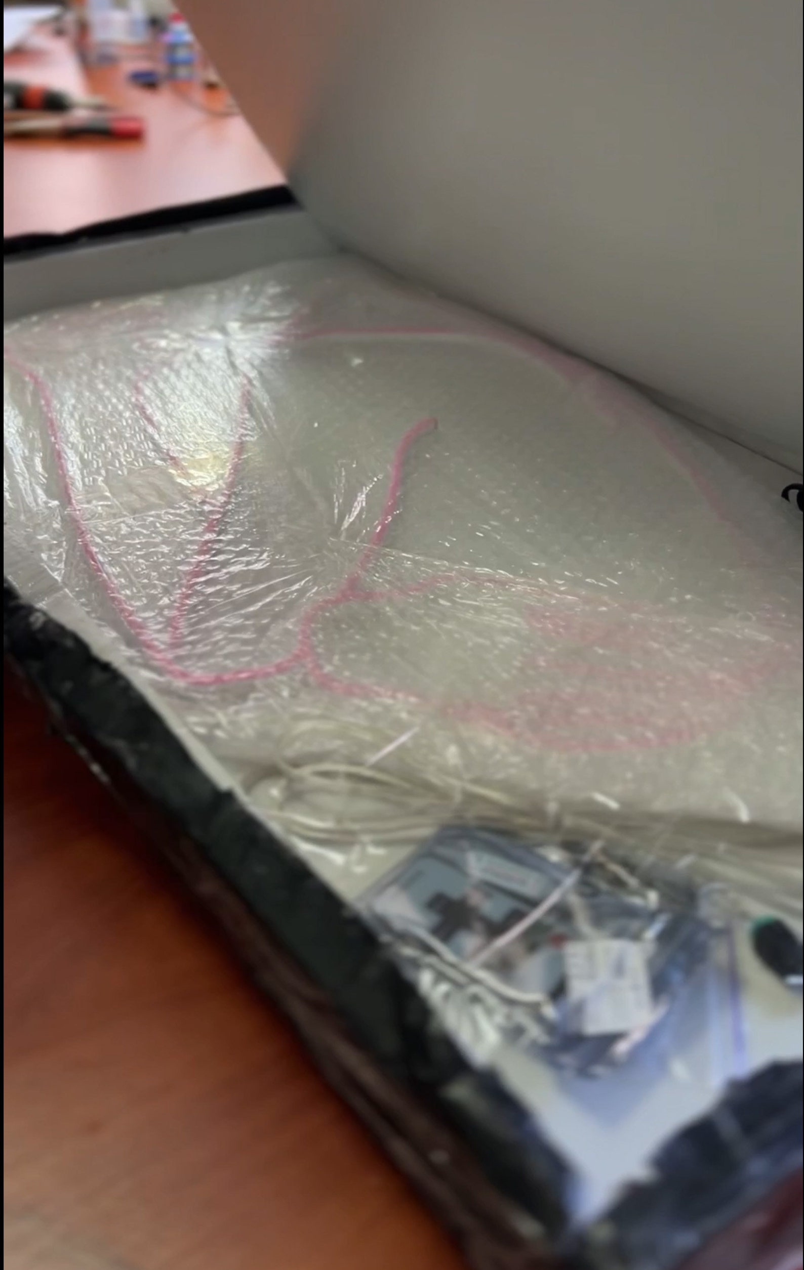 Lady LED Neon Sign, Ready to Ship, in Stock, Free Express Shipping - Etsy