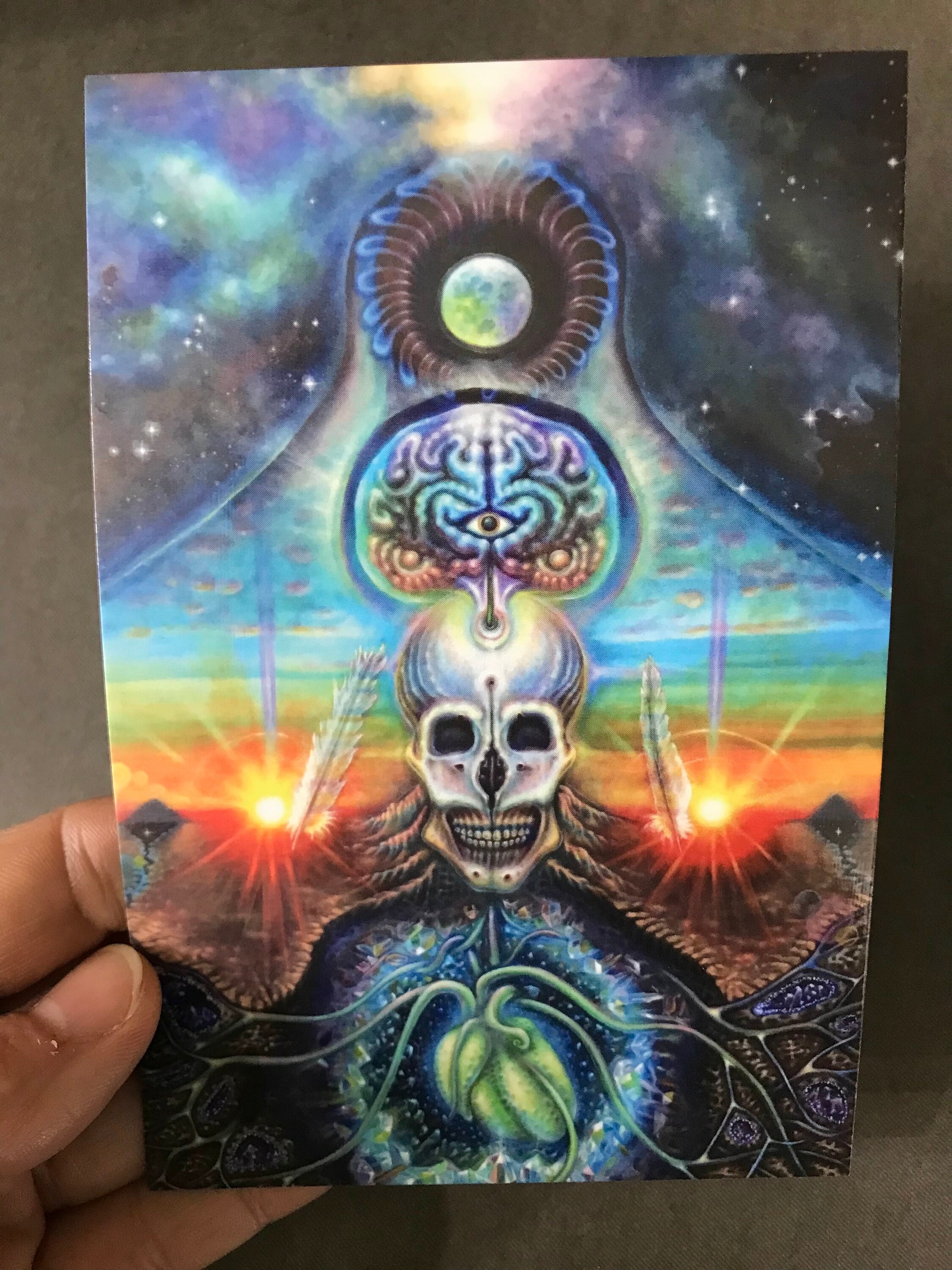 13 Death/rebirth Tarot (postcard) - Etsy