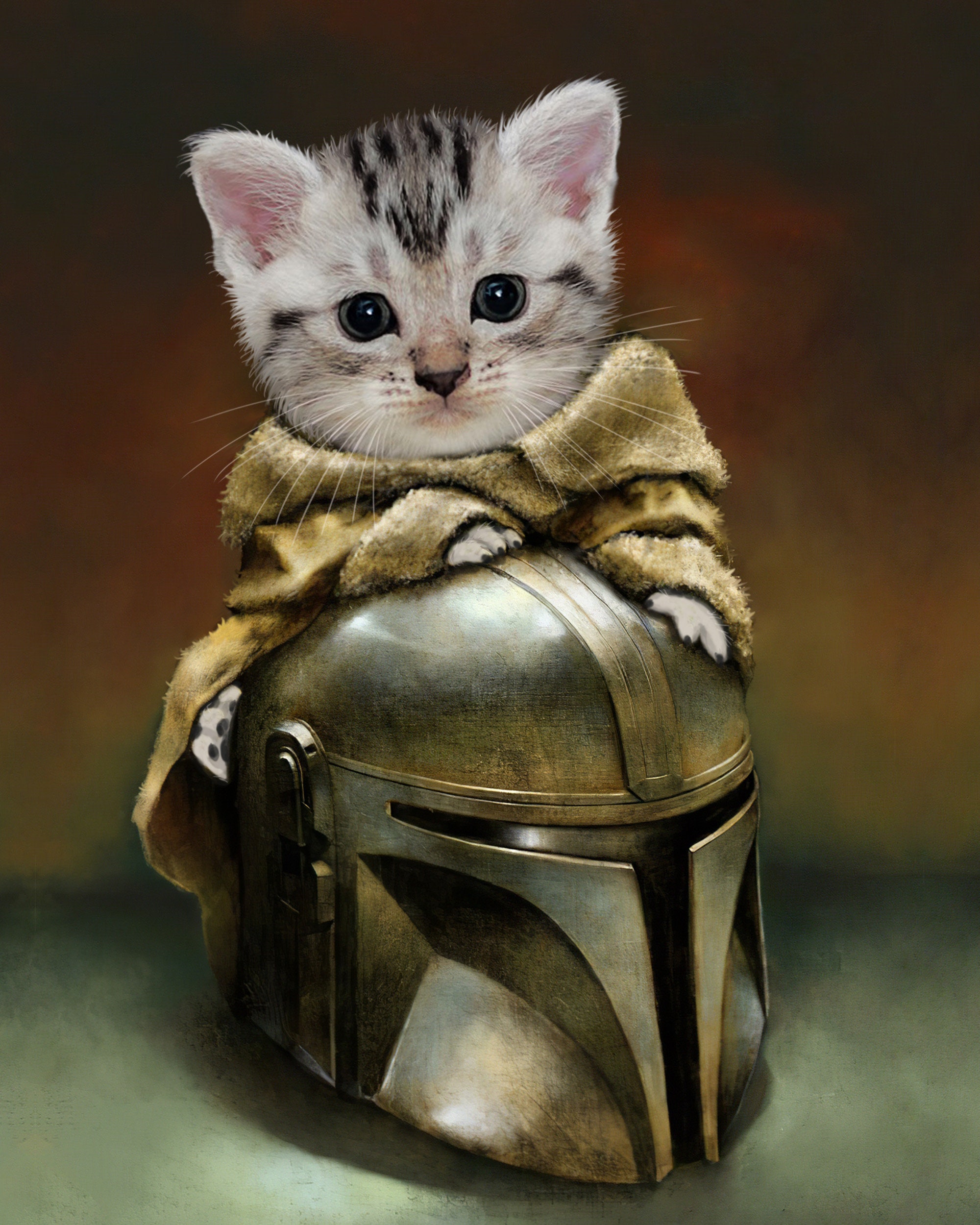 Star Wars Pet Portrait With Boba Fett and Lightsaber for | Etsy