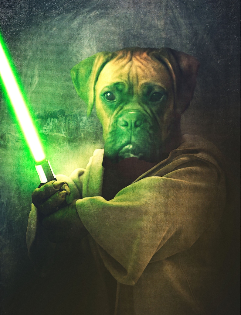 Obi Wan Kenobi Pet Portrait | Star Wars Custom Dog Gift - Etsy