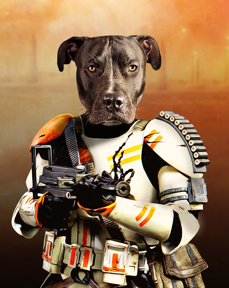 Digital Portrait | Clone Trooper | Star Wars | Pet Portrait | Funny Dog ...