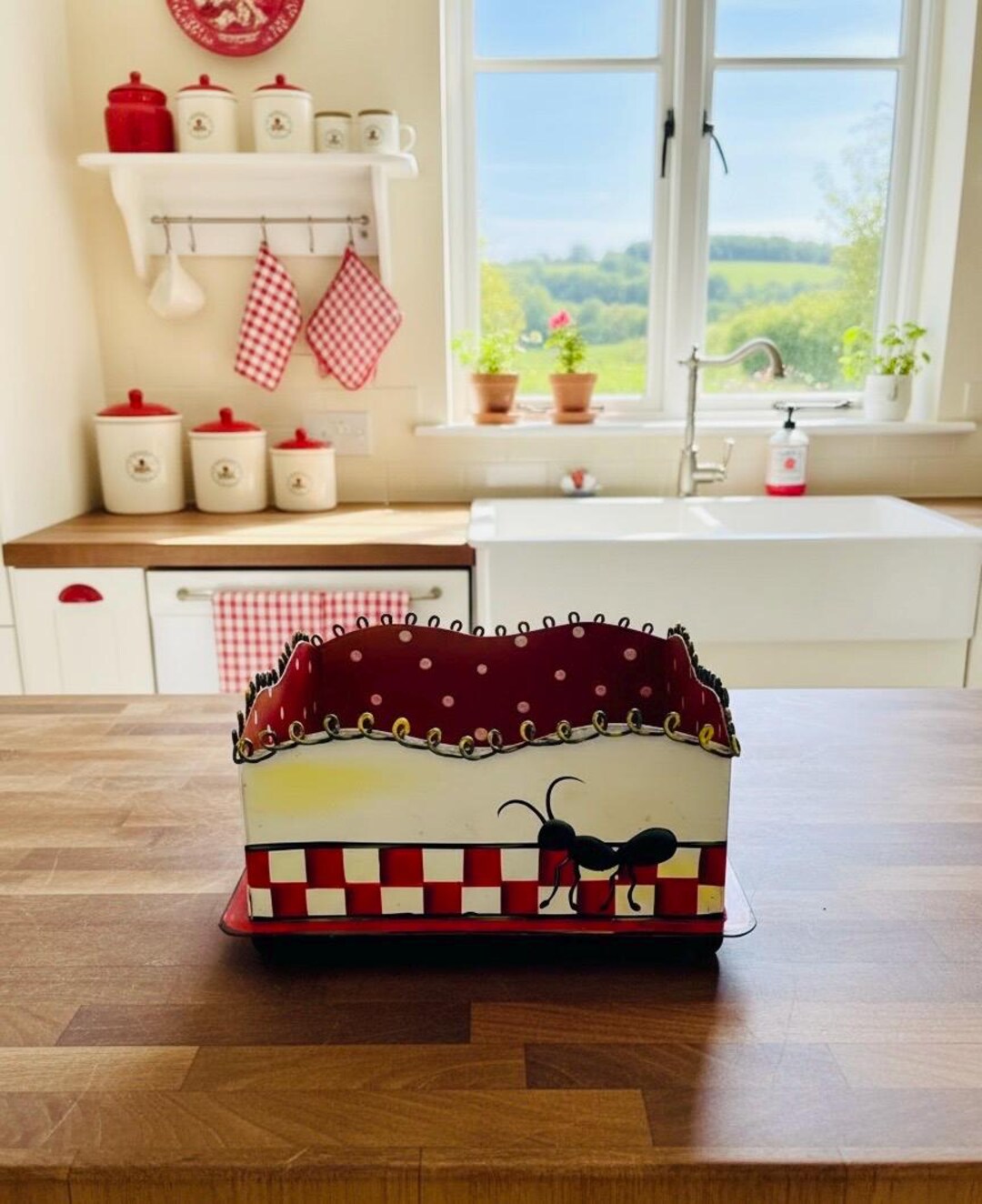 Hand Painted Metal Kitchen Box, Red Polka Dot and Checkered Ant Design ...