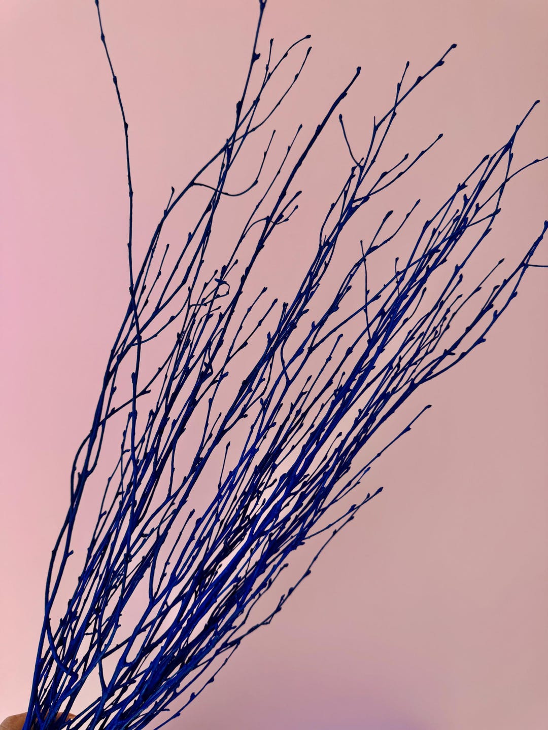 Tinted Blue Birch Branches / Decorative Birch Branches - Etsy