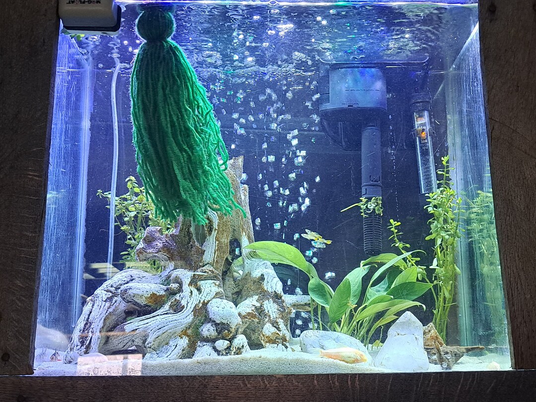 Floating Fish Breeding Mop Live Bearer and Egg Layers Fry Hiding - Etsy