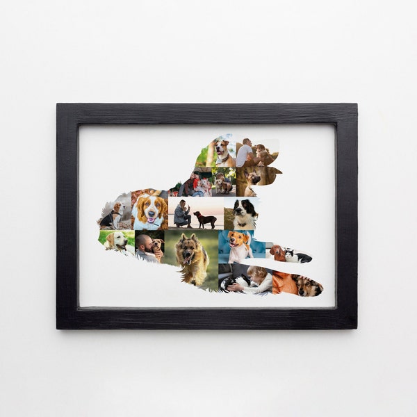 Pet Photo Collage - Etsy UK