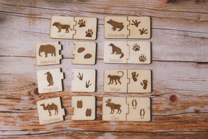 Animals Matching Skin Pattern Learning Game Toddler Pre-k - Etsy Canada