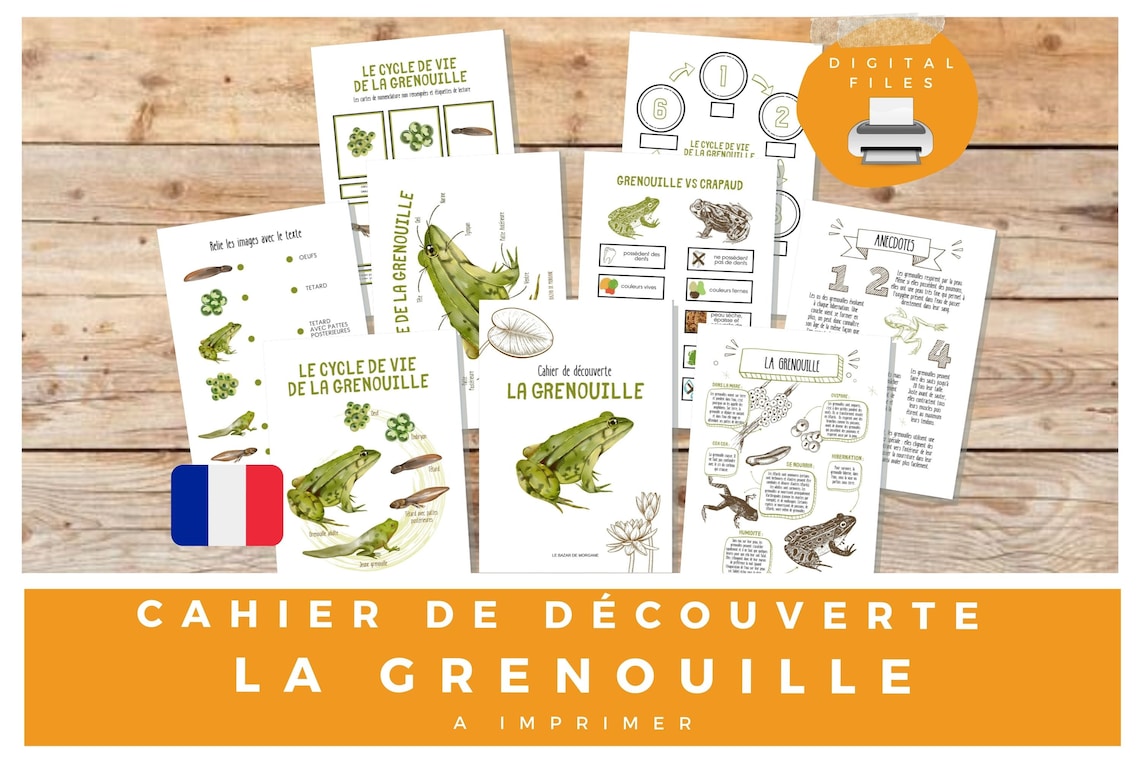 Cahier de Découverte La Grenouille pour apprendre et | Etsy